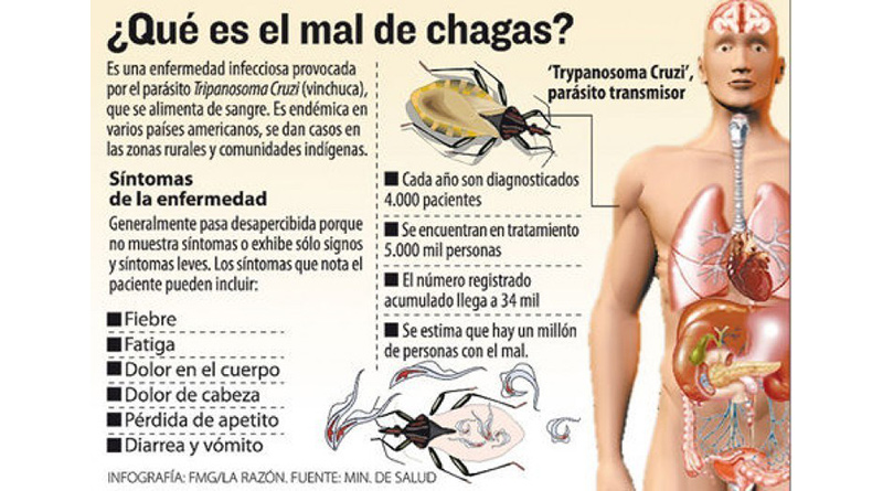 Chagas: una enfermedad silenciosa que se puede prevenir, tratar y curar si es detectada a tiempo ...